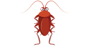 Anatomia da barata: conheça o inseto - Insect Bye