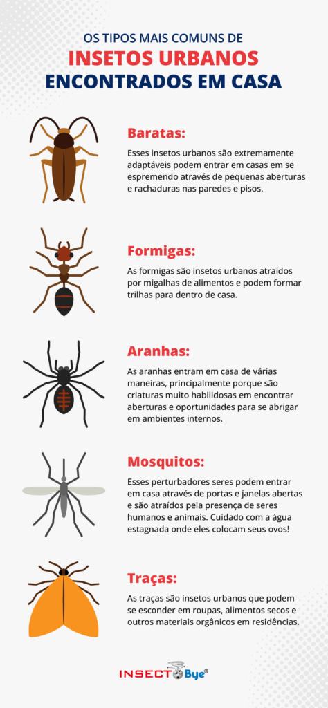 Conheça os 10 insetos urbanos mais comuns!